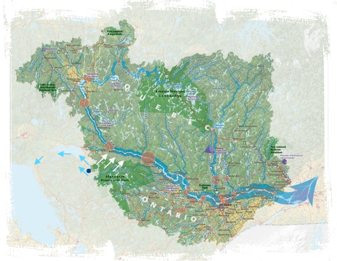 Algonquin Park - Explore South River